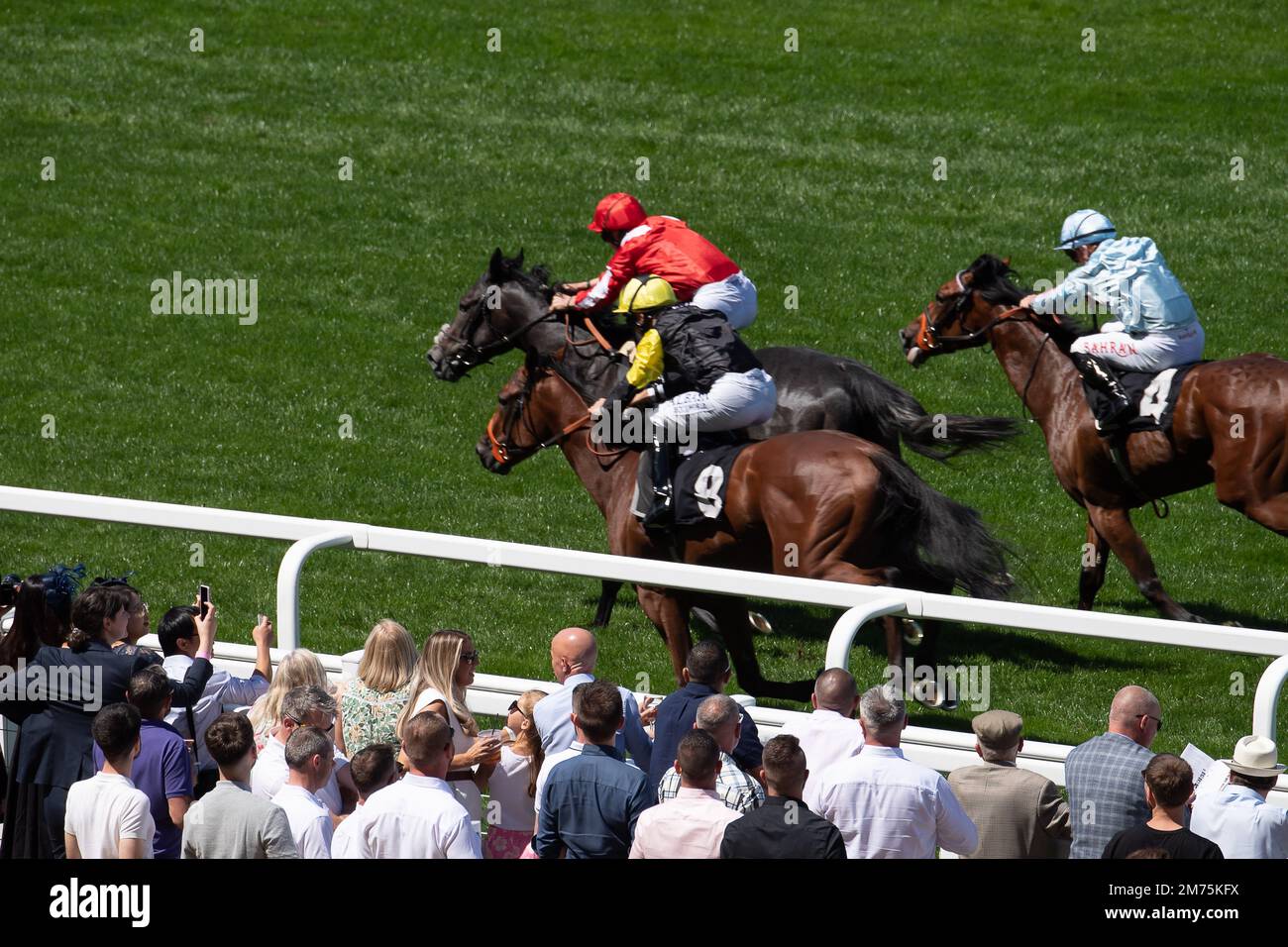 The british stallion studs ebf restricted novice stakes at ascot hi-res ...