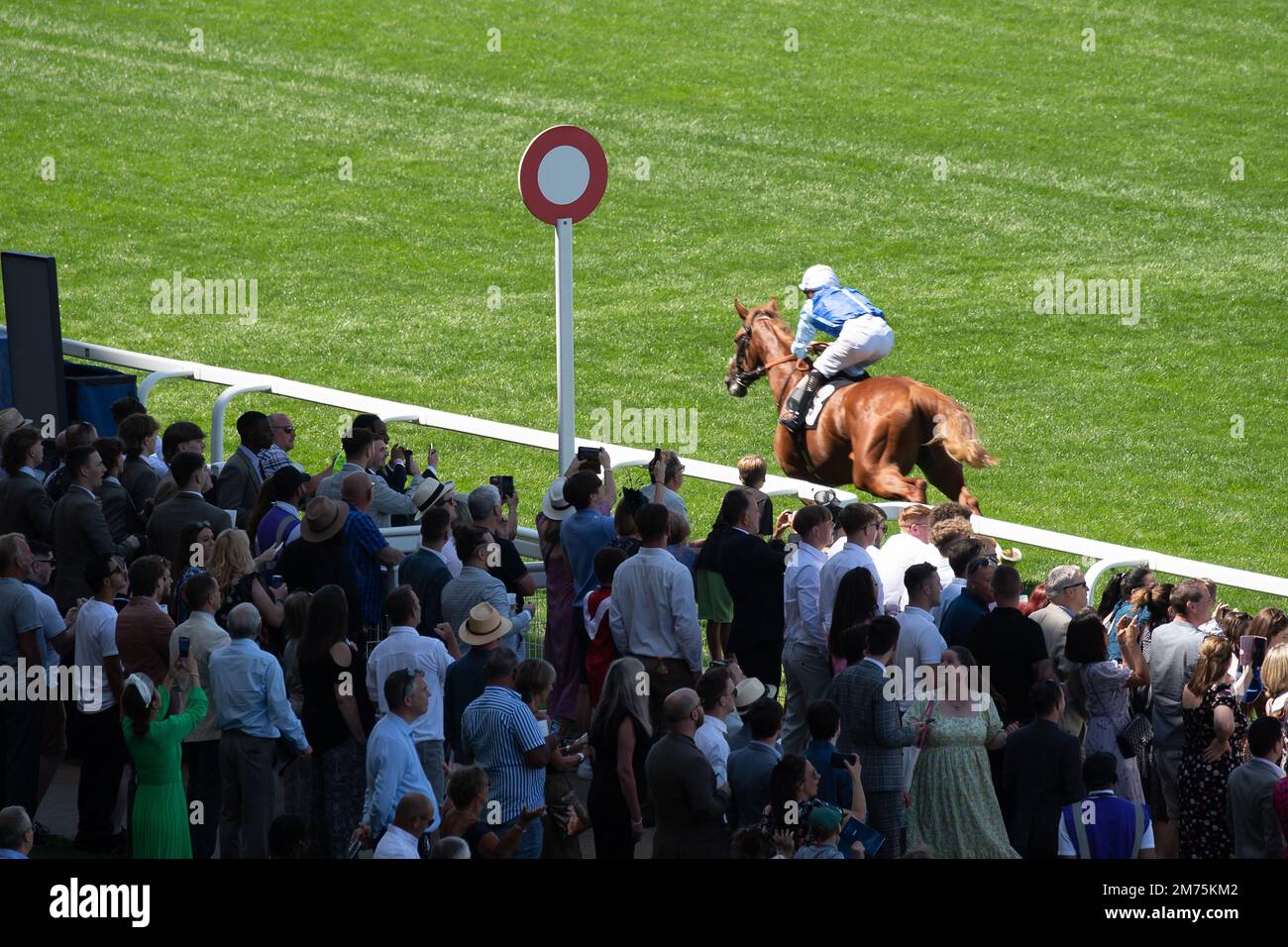 The british stallion studs ebf restricted novice stakes at ascot hi-res ...