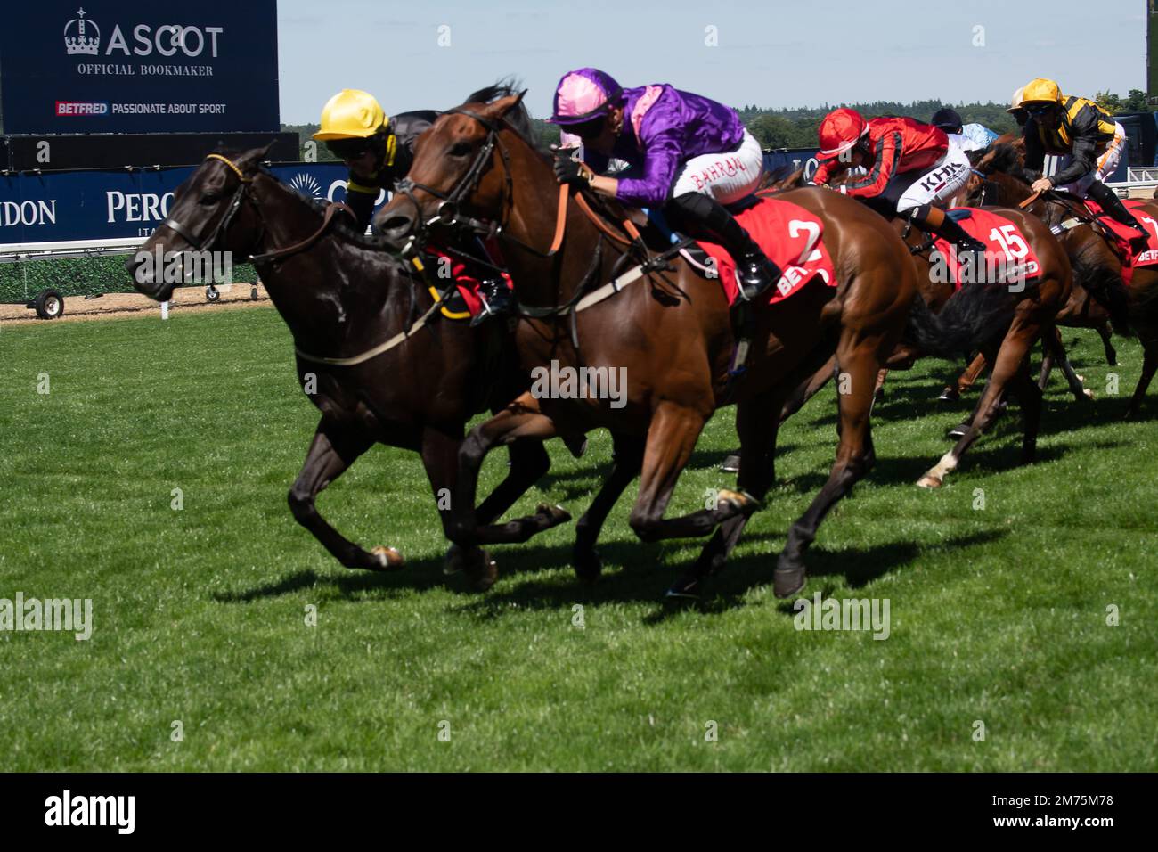 Mrs maitland hi-res stock photography and images - Alamy