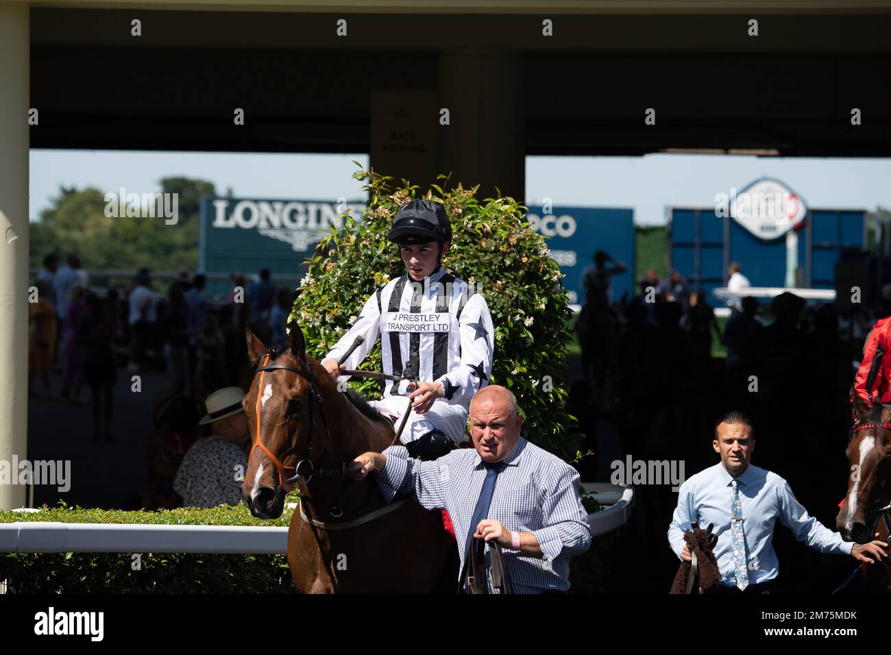 Ryan sexton hi-res stock photography and images - Alamy