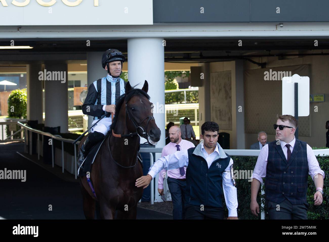 Jockey pat dobbs before hi-res stock photography and images - Alamy