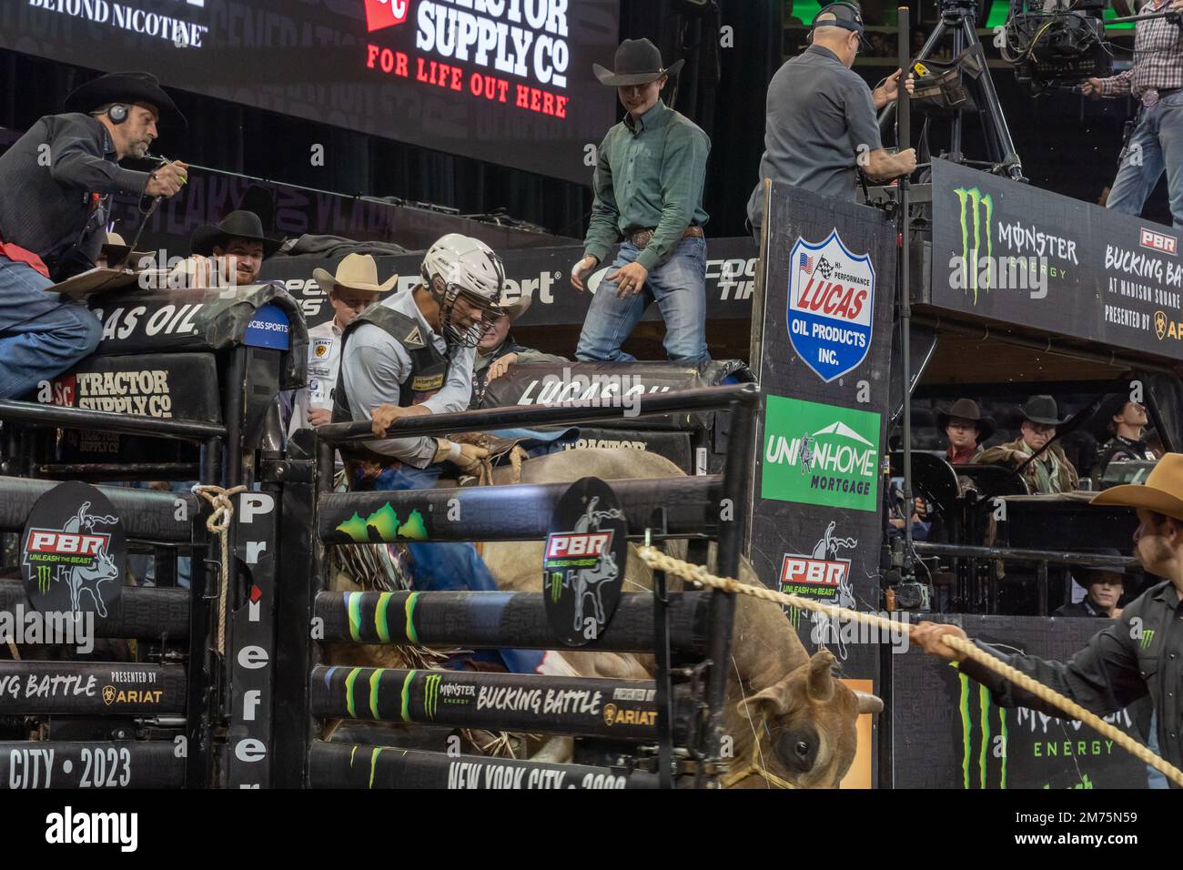 NEW YORK, NEW YORK - JANUARY 06: Taylor Allen rides Ridin' Solo during the Professional Bull ...