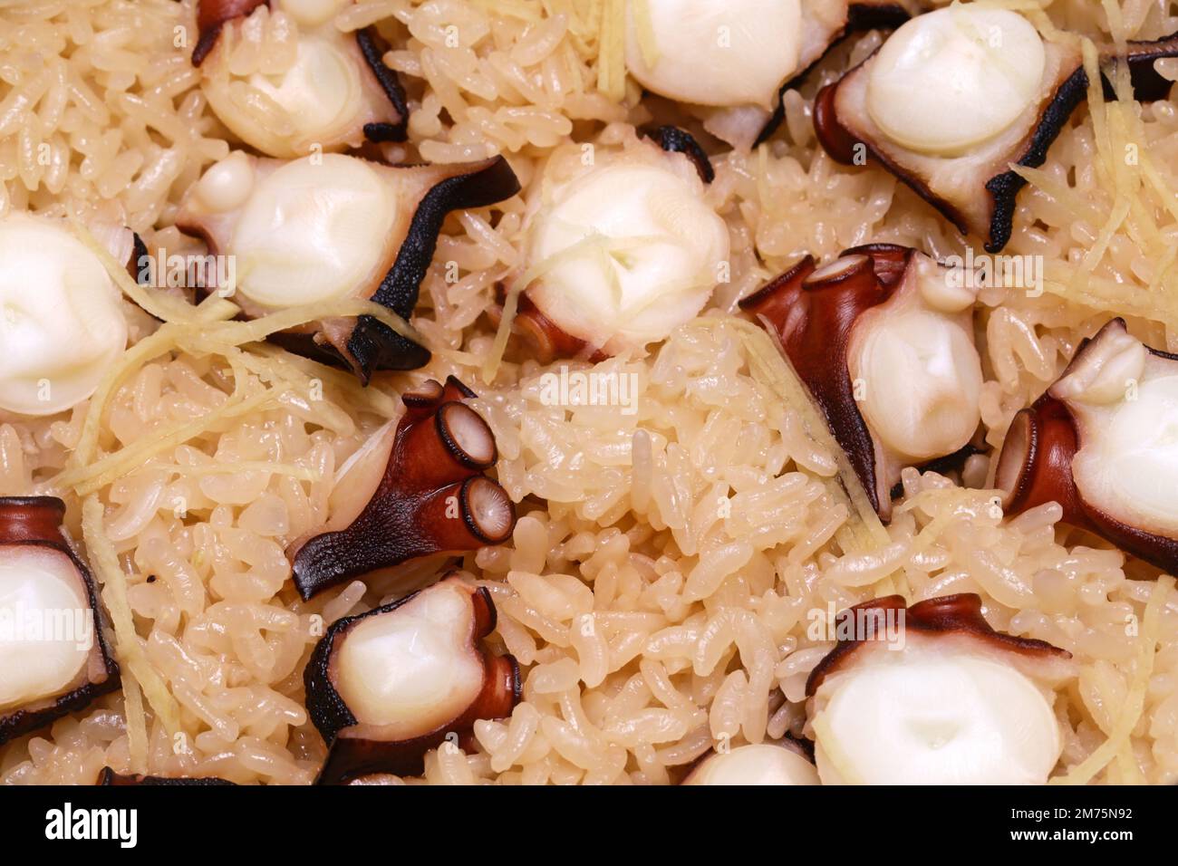 octopus mixed rice, Japanese food Stock Photo - Alamy