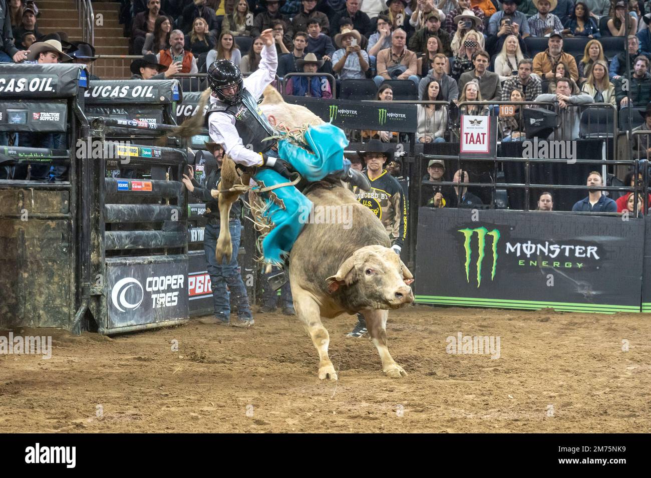 NEW YORK, NEW YORK - JANUARY 06: Cole Melancon rides Top Dollar during ...