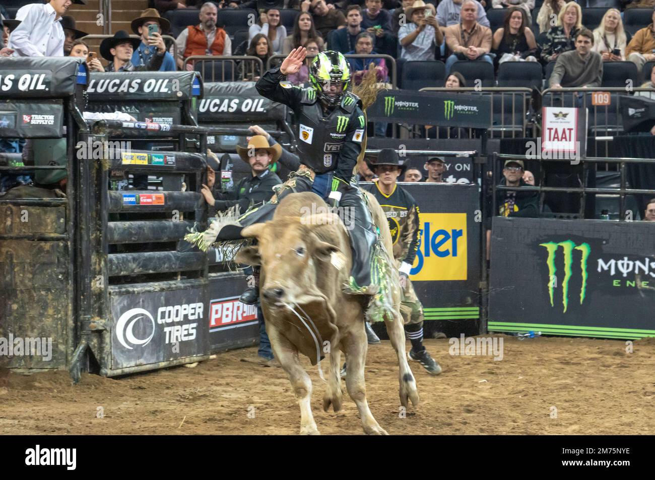 NEW YORK, NEW YORK - JANUARY 06: Jose Vitor Leme rides Pickle Moonshine ...