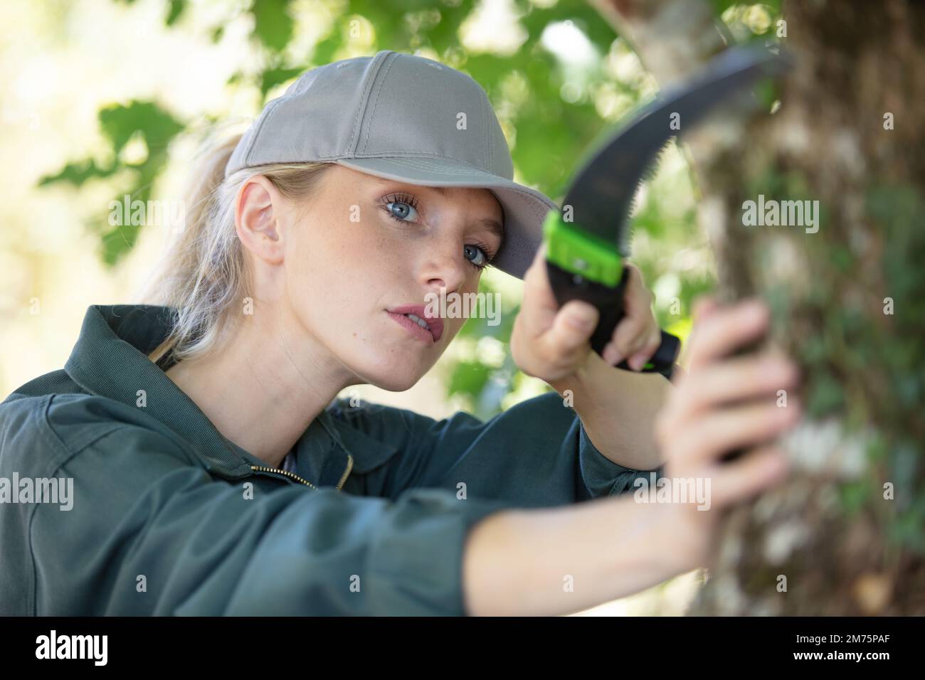 Professional lumberjack hi-res stock photography and images - Alamy