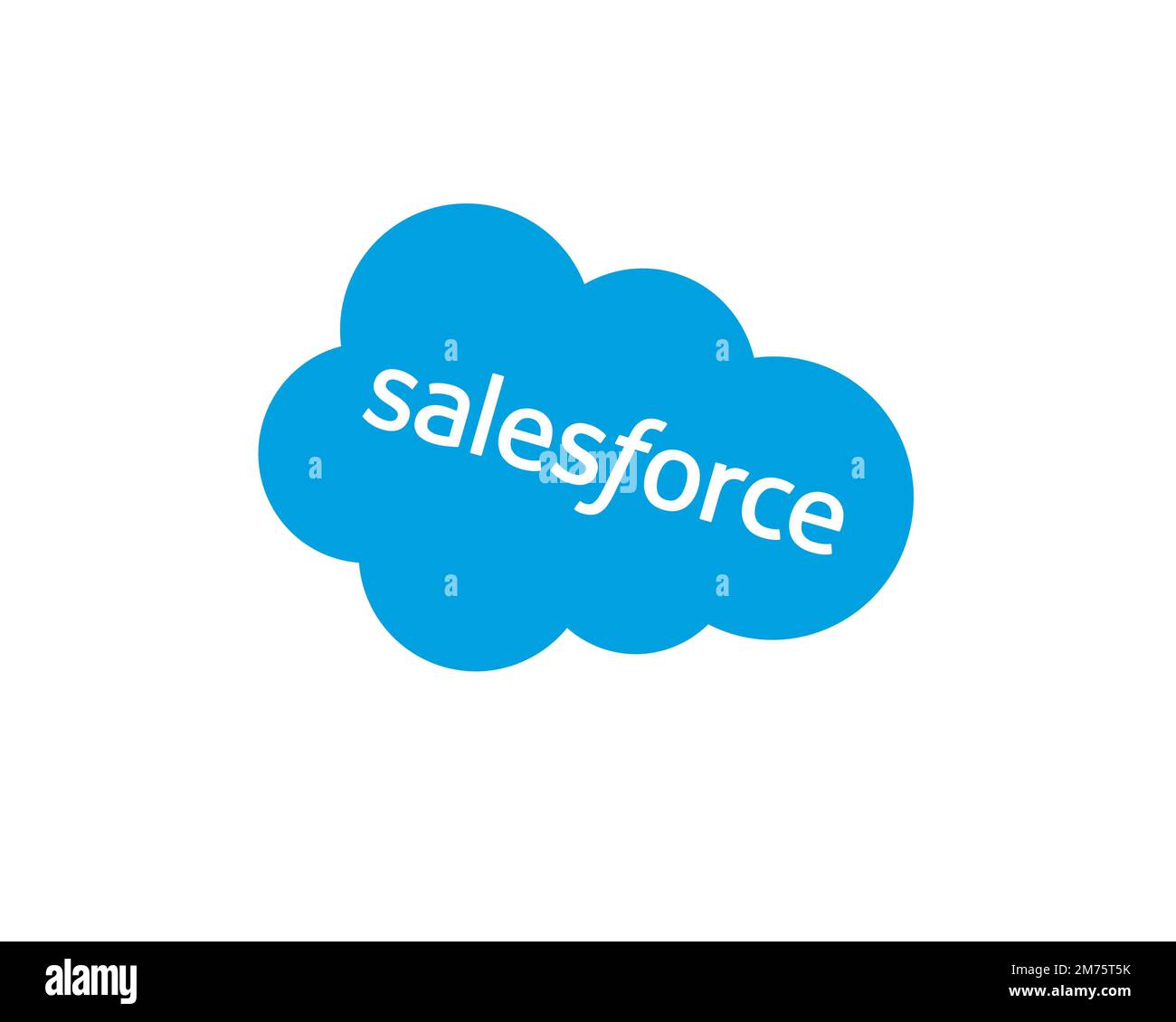 Salesforce Logo Vector