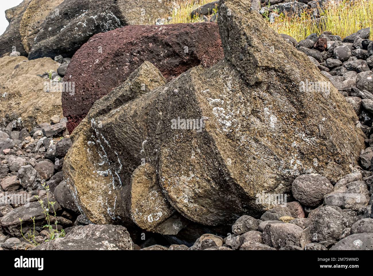 Head of a destroyed Moai sculpture on Easter Island, Rapa Nui, Chile ...