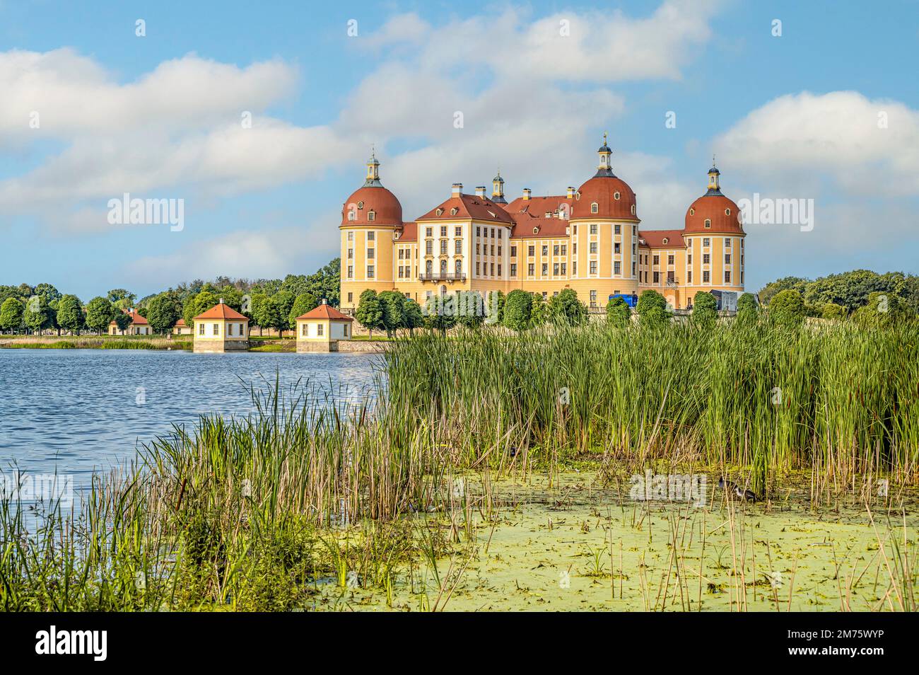 Schloss Moritzburg, a Baroque castle in Moritzburg, near Dresden ...