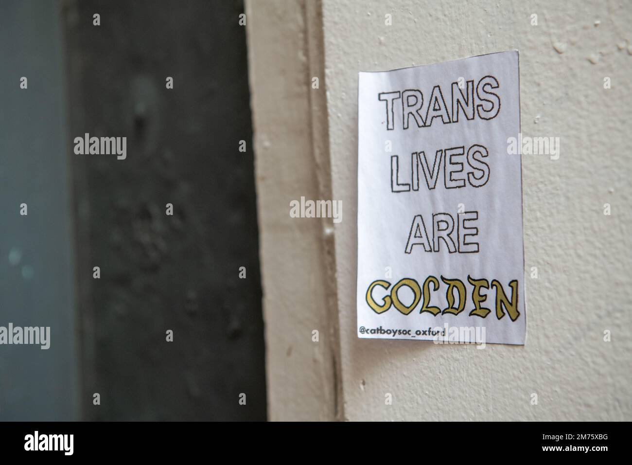 Trans lives are golden, print out stuck on a wall in Oxford Stock Photo ...