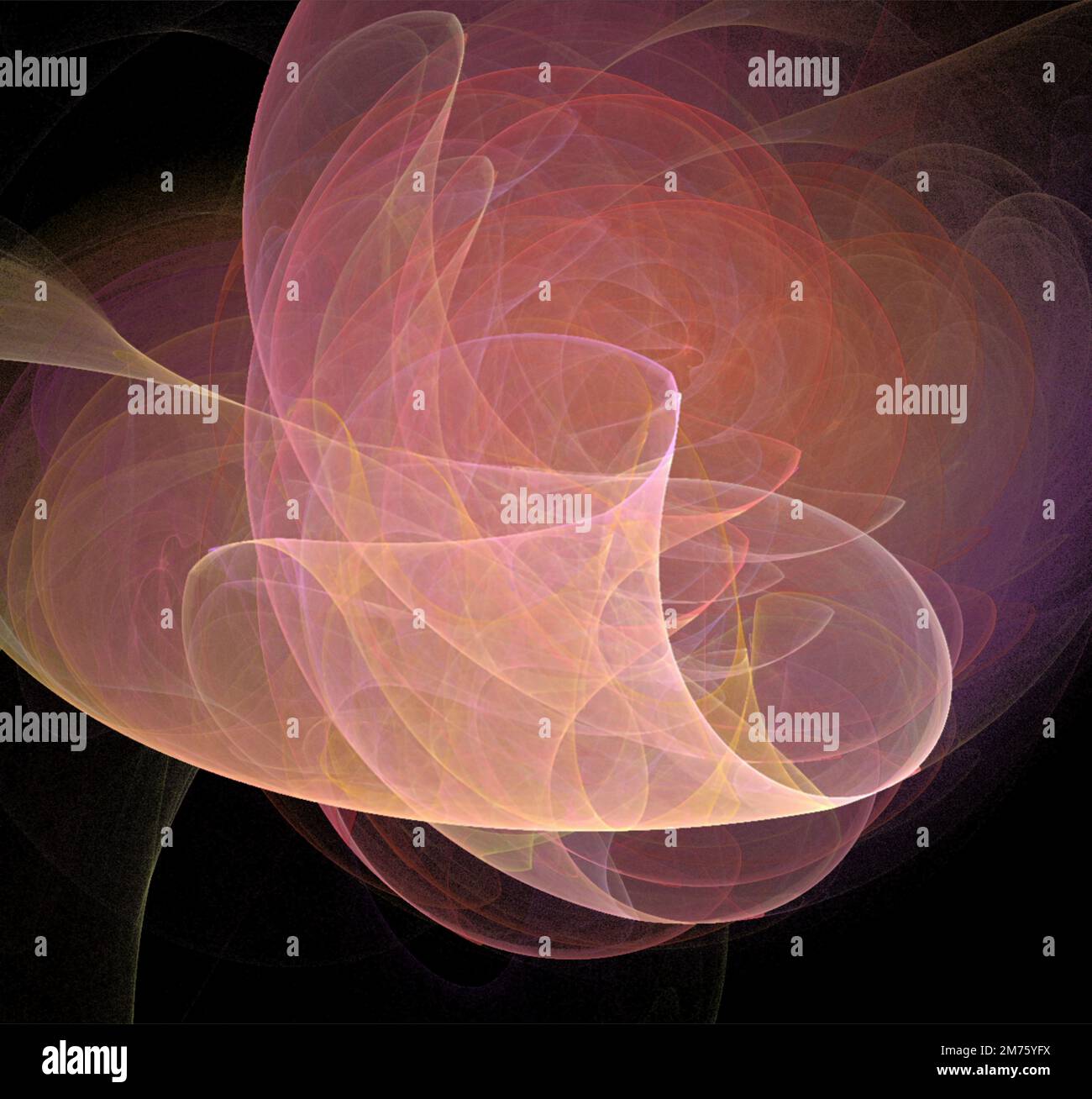 bright pink abstract pattern on black, color digital graphics ...