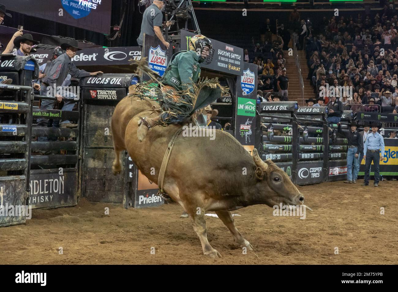 New York, New York, USA. 6th Jan, 2023. (NEW) 2023 Professional Bull ...