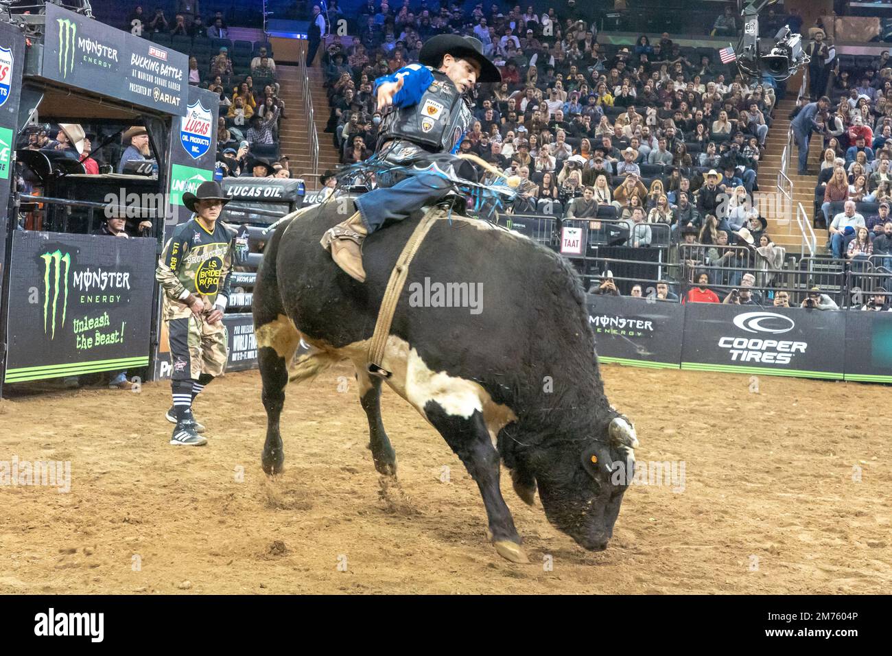 New York, New York, USA. 6th Jan, 2023. (NEW) 2023 Professional Bull ...