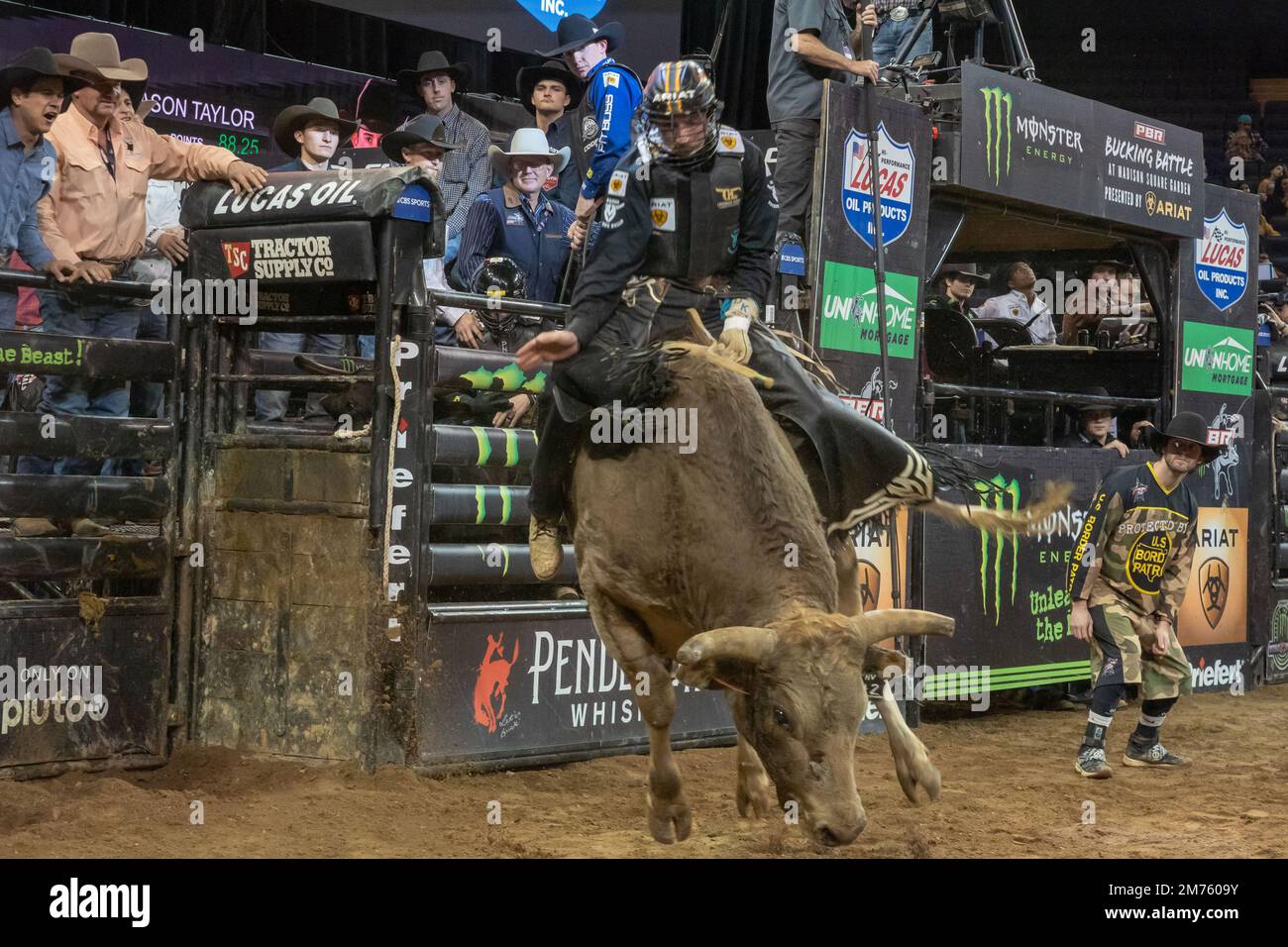 New York, New York, USA. 6th Jan, 2023. (NEW) 2023 Professional Bull ...