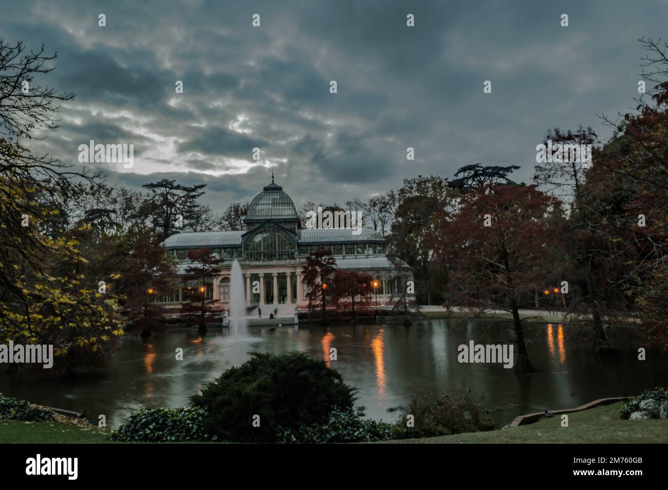 Duck in retiro park hi-res stock photography and images - Alamy