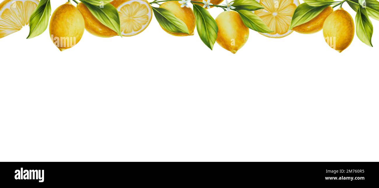 Watercolor border with fresh ripe lemon with bright green leaves and ...