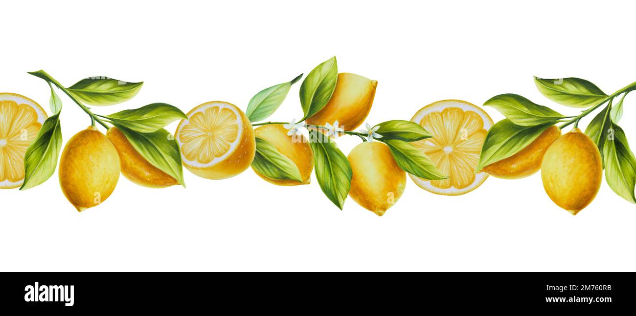 Watercolor border with fresh ripe lemon with bright green leaves and ...