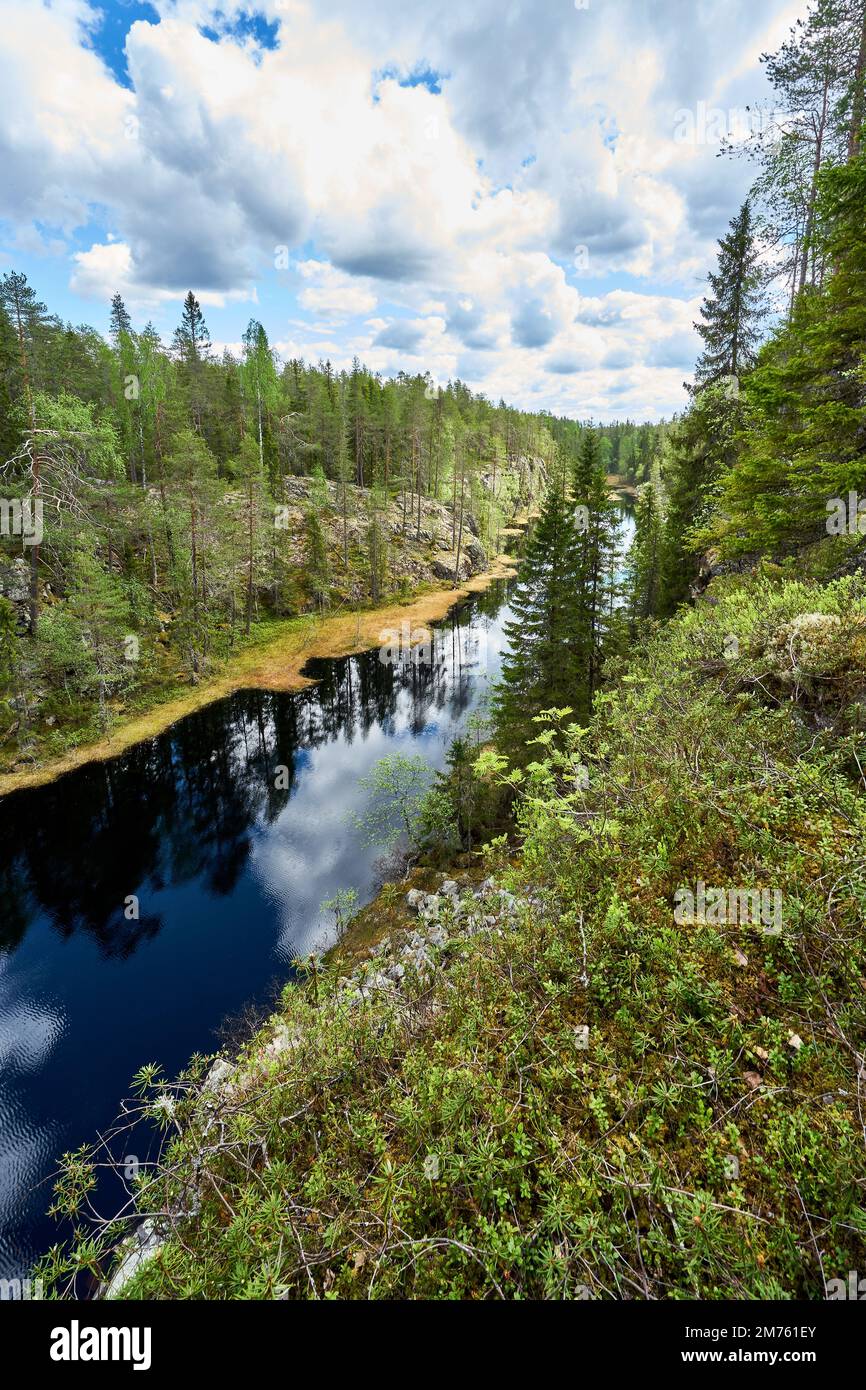 An image of a river in the forest with the reflections of trees on the ...