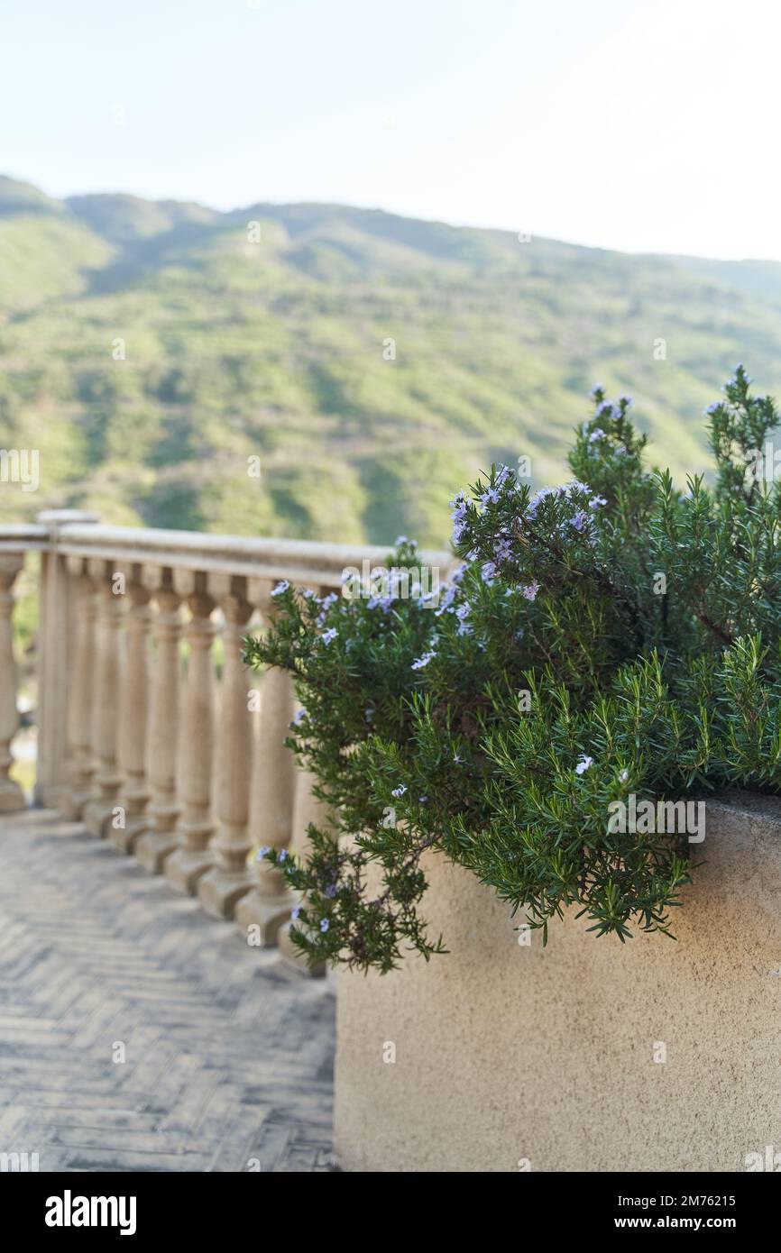 Old balusters made from stone. Architecture elements of terrace Stock ...