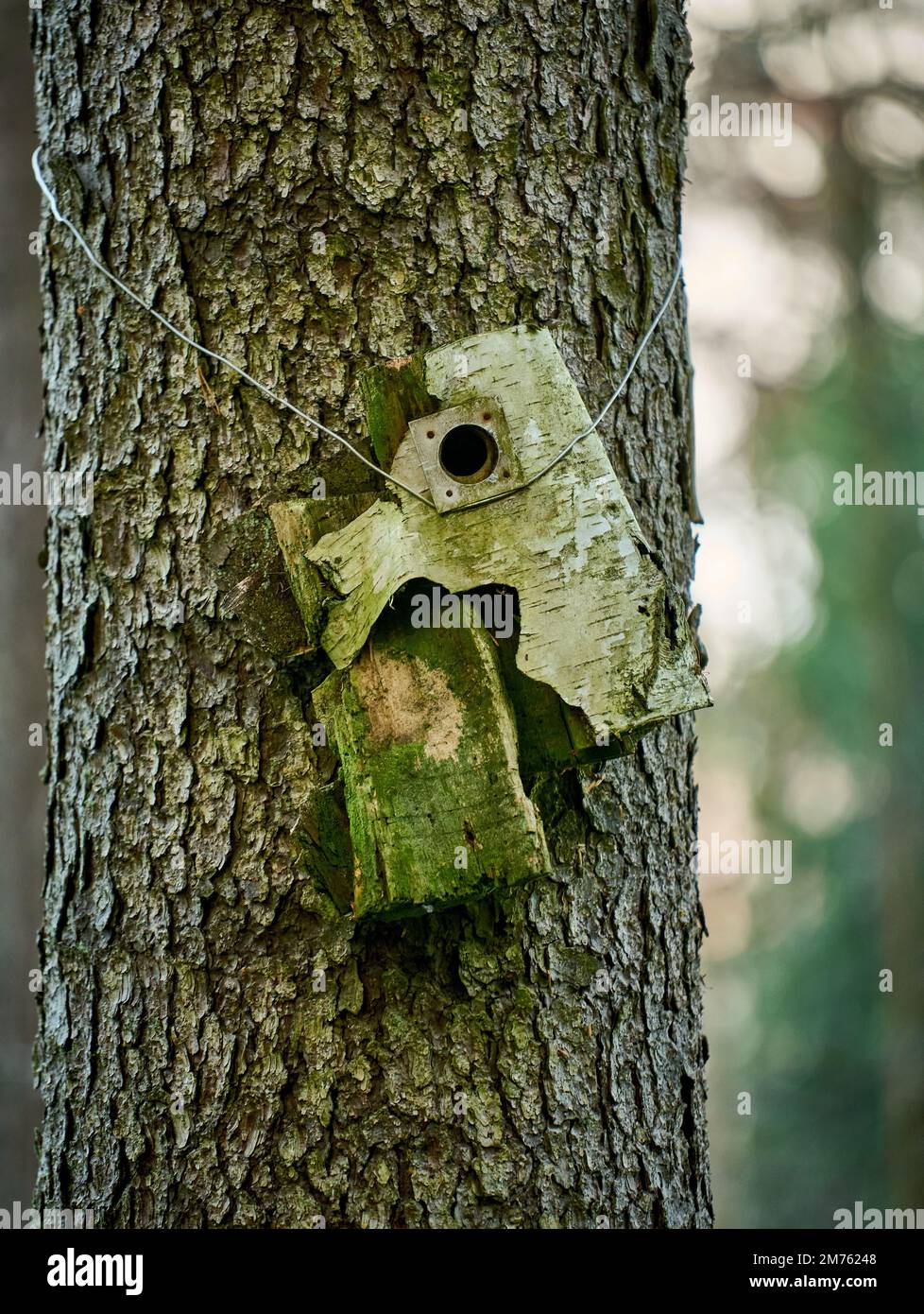 Broken birdhouse hi-res stock photography and images - Alamy