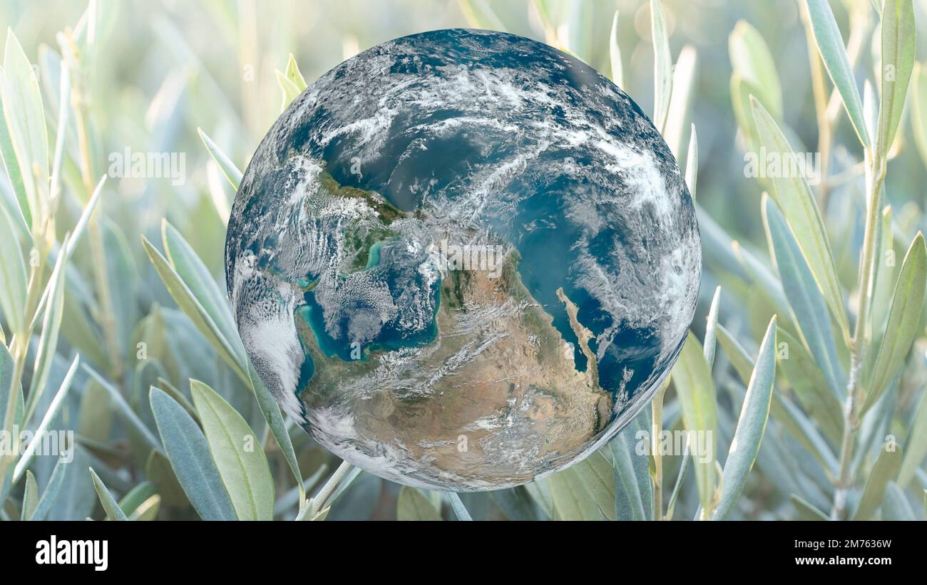 earth and green plant background. Earth day or World environment day or ...