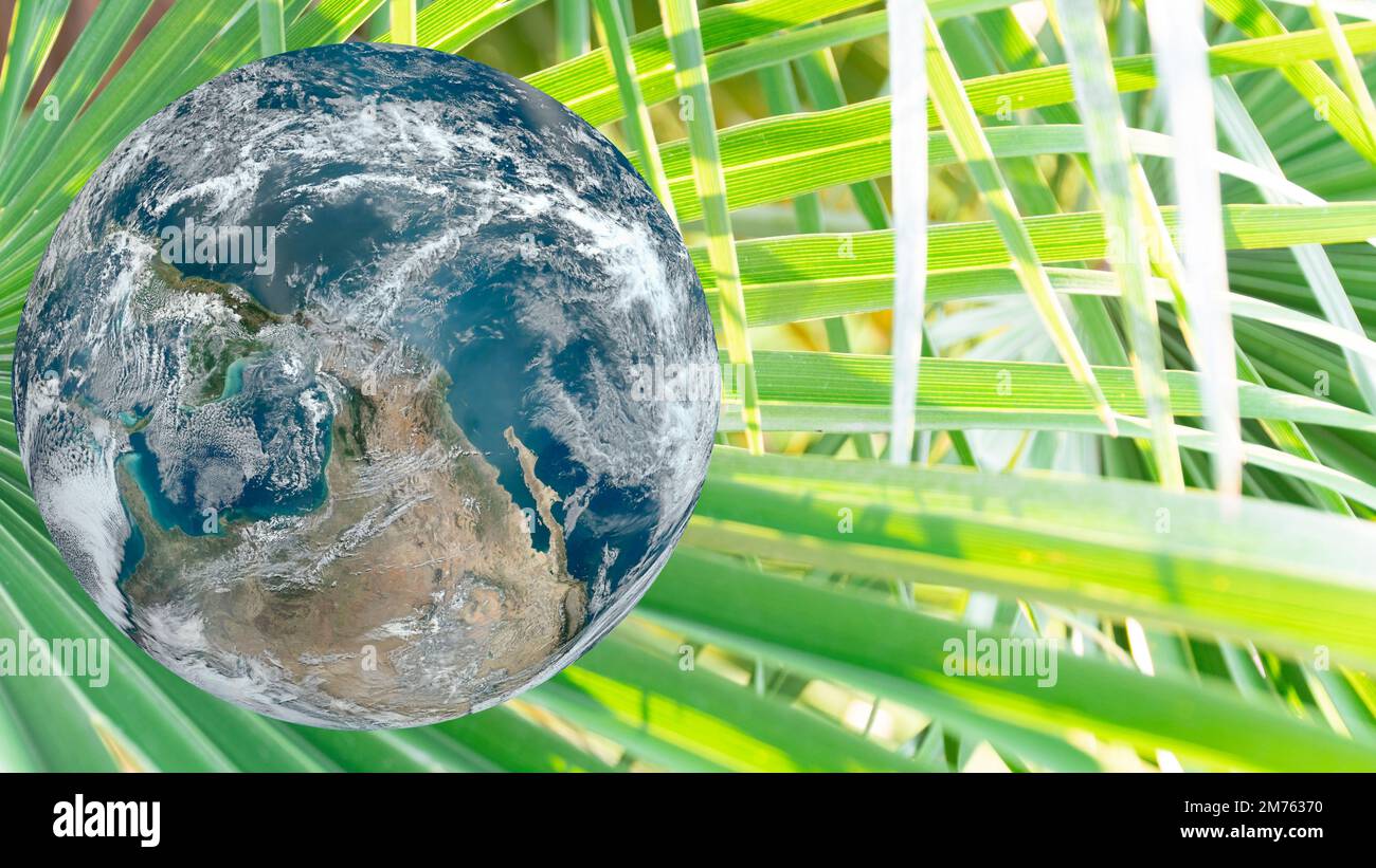 Green Nature Earth Wallpaper