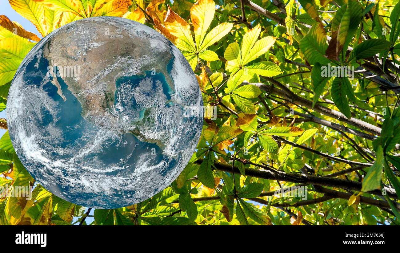earth and green plant background. Earth day or World environment day or ...
