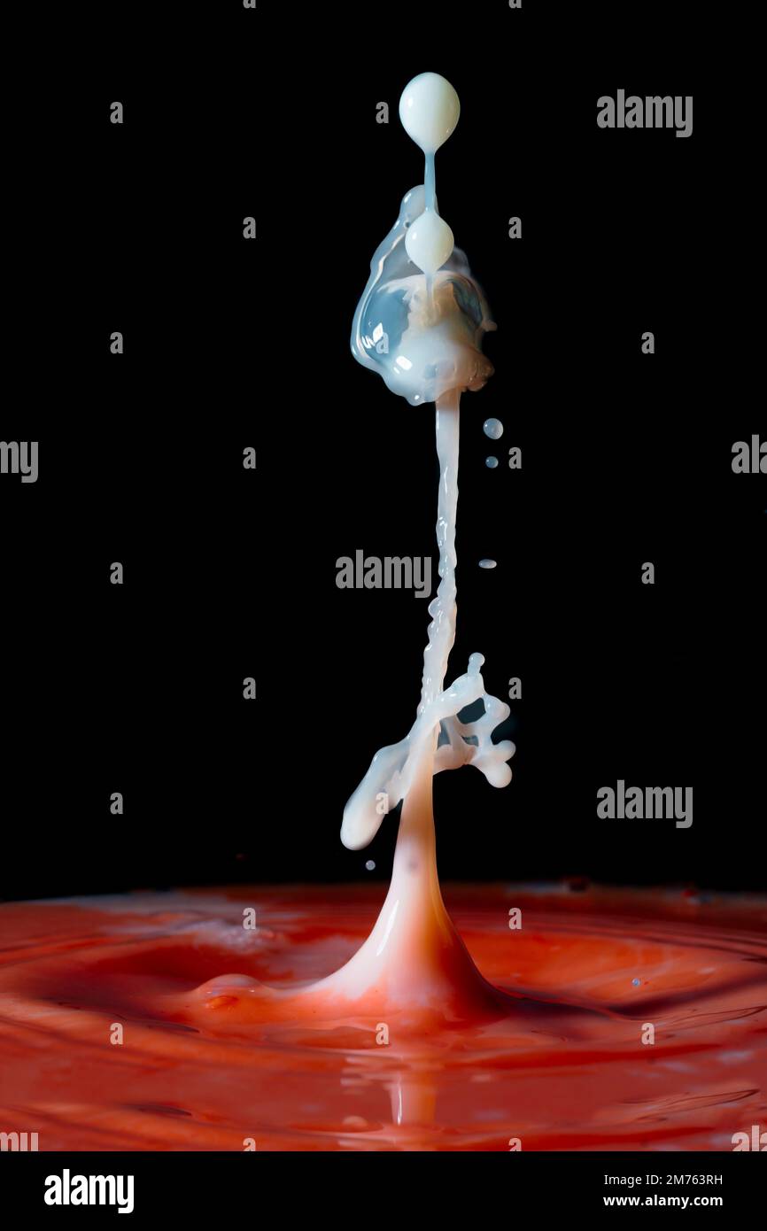 collision of white water drops formed a tall figure when falling ...