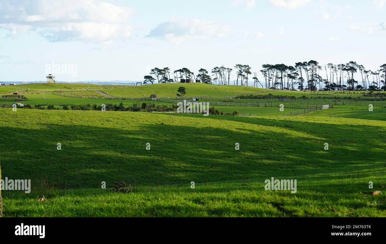 Puhinui Reserve, the site of the volcanic Puhinui Craters in Manukau ...