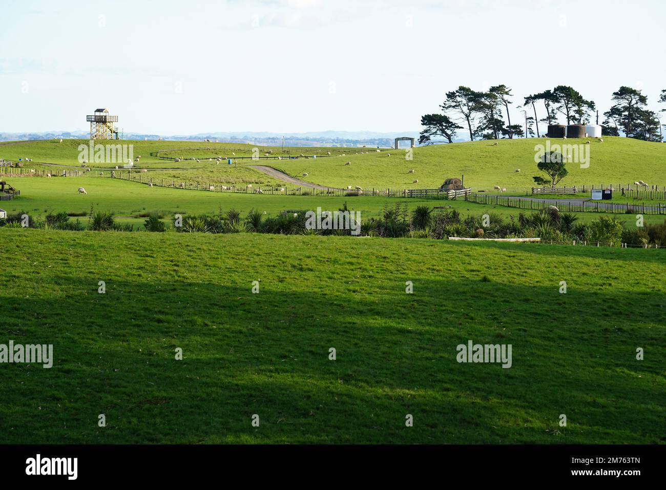 Matukuturua volcanic field hi-res stock photography and images - Alamy