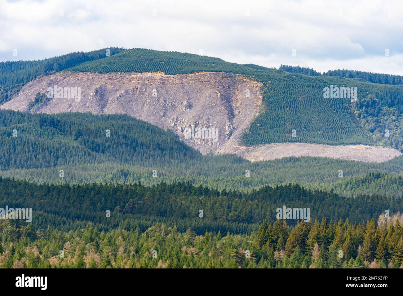 Overlooking Whakarewarewa Forest near Rotorua. This is a popular hiking ...