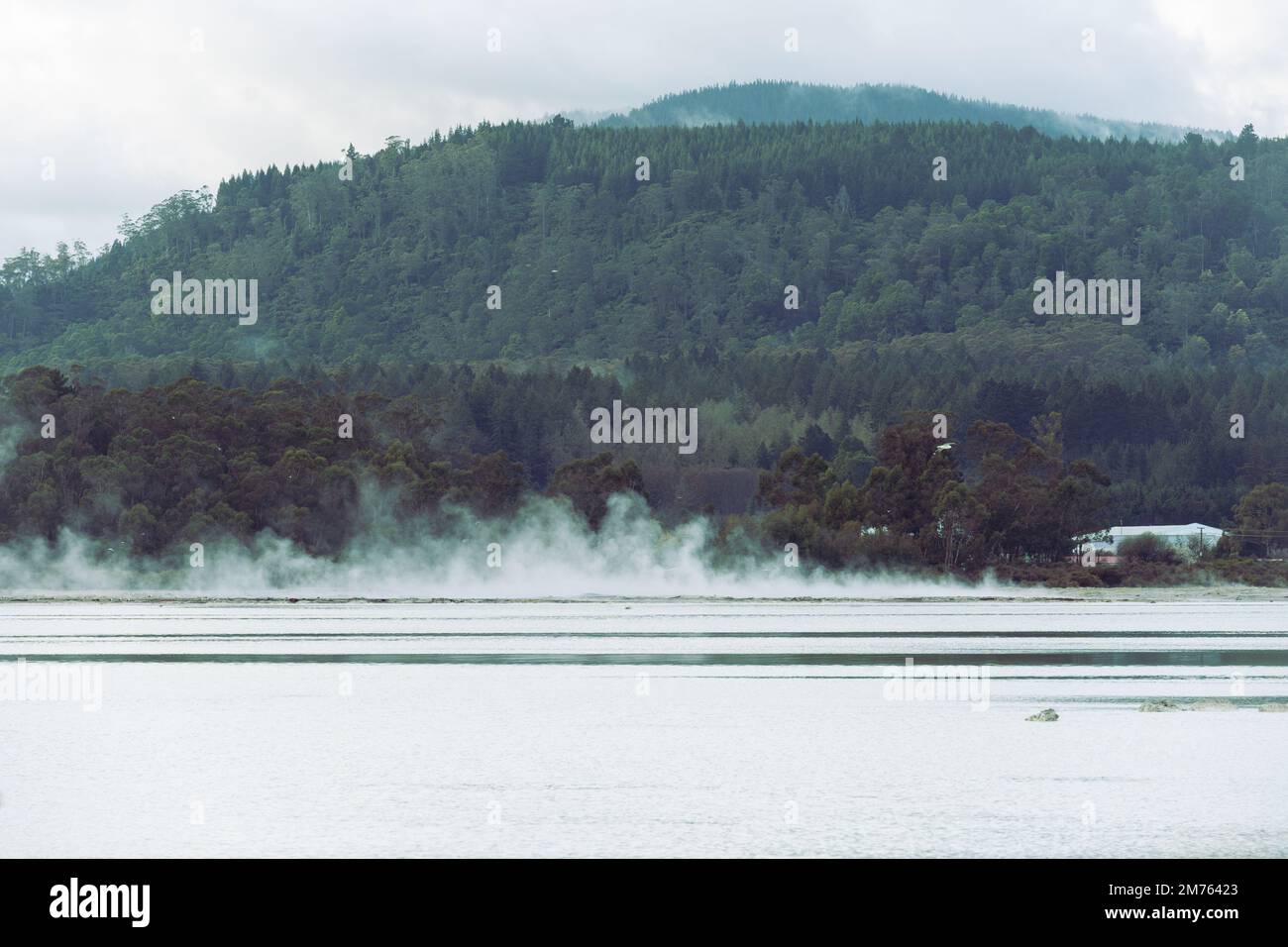 Steam rising from Lake Rotorua due to geothermal activity Stock Photo ...