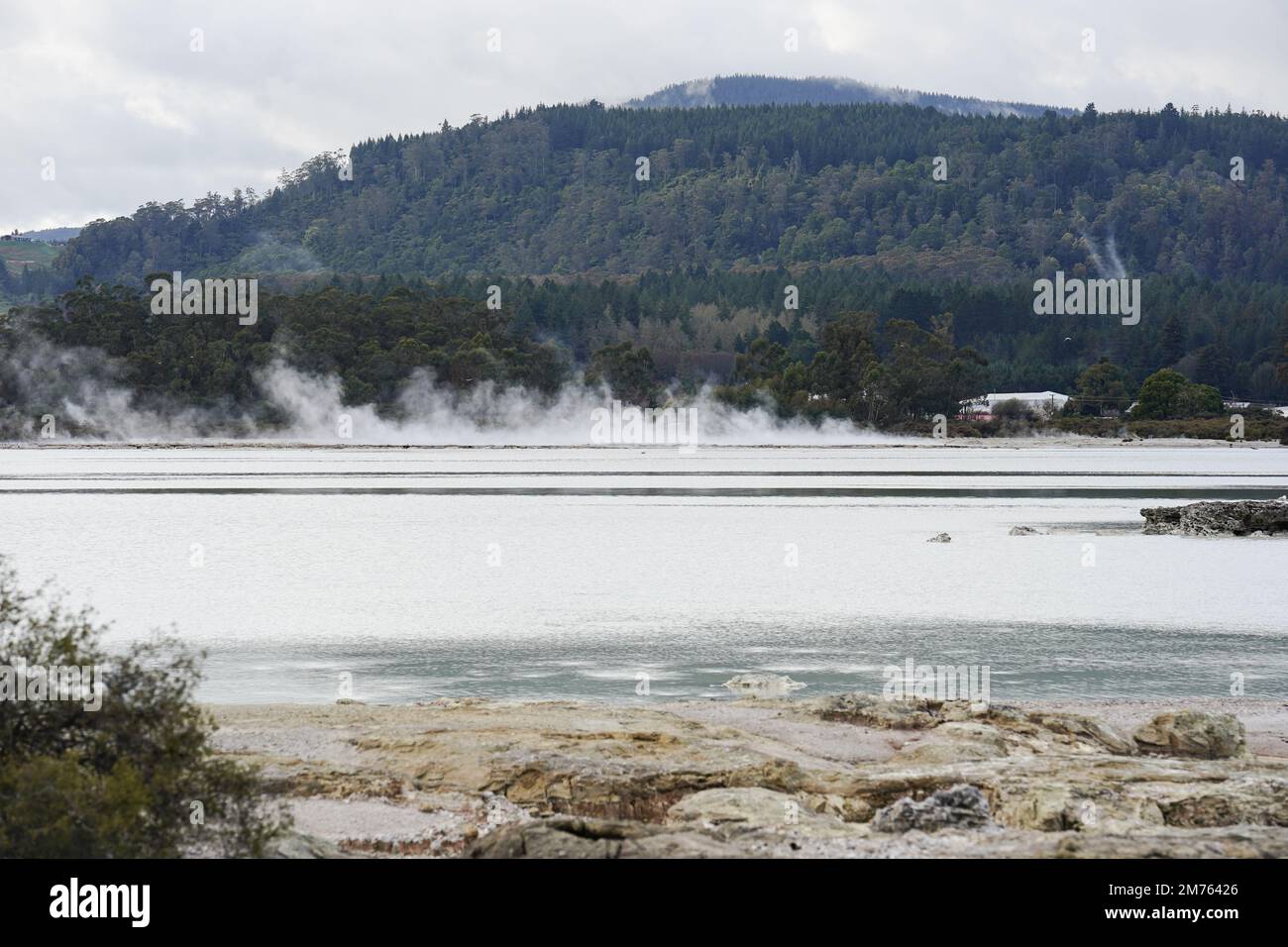 Steam rising from Lake Rotorua due to geothermal activity Stock Photo ...