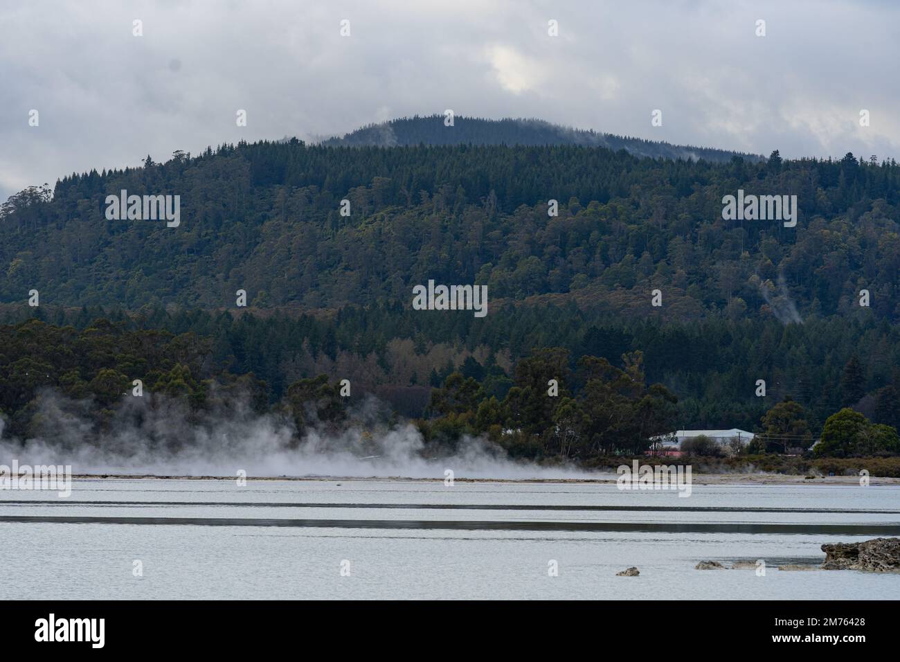 Steam rising from Lake Rotorua due to geothermal activity Stock Photo ...
