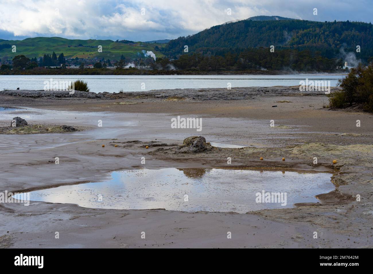 Steam rising from Lake Rotorua due to geothermal activity Stock Photo ...