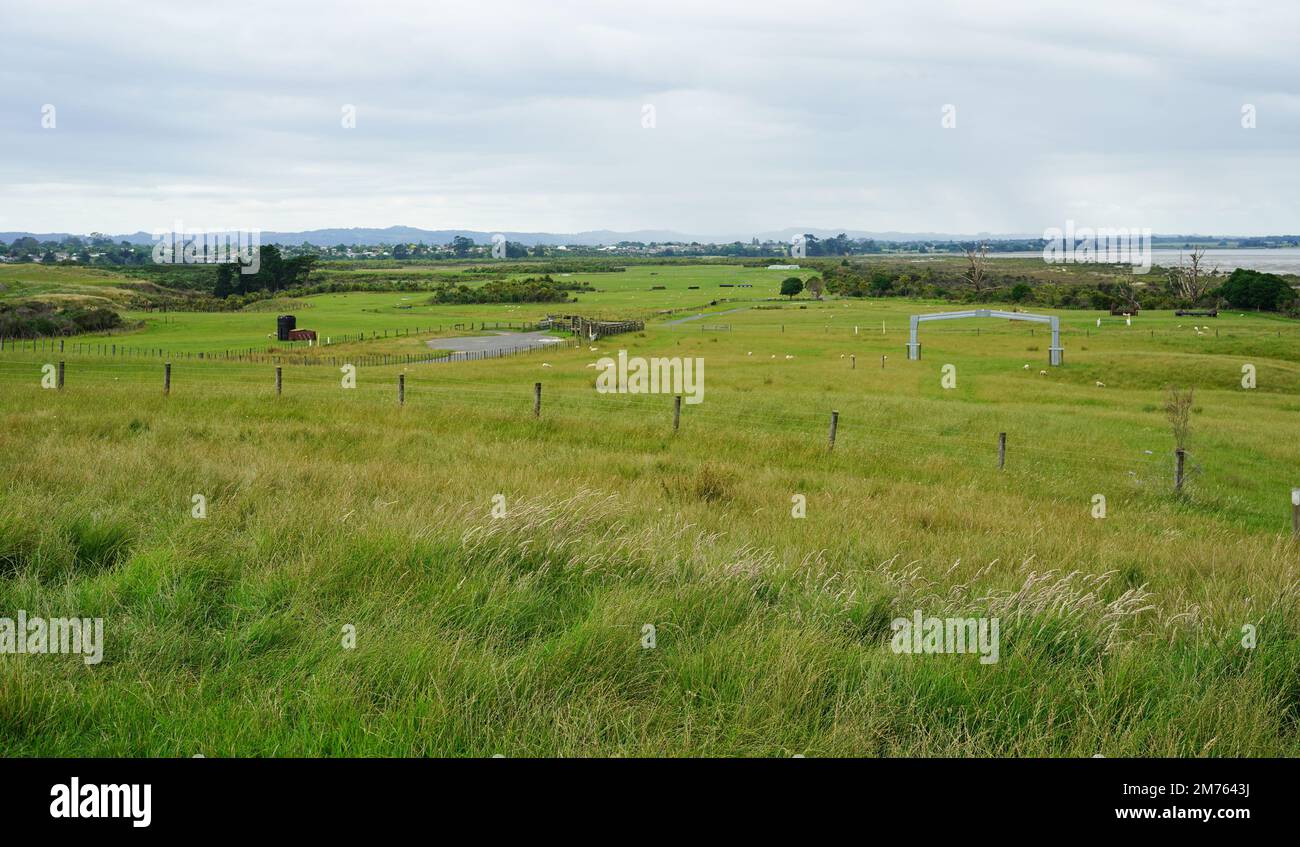 Puhinui Reserve, the site of the volcanic Puhinui Craters in Manukau ...