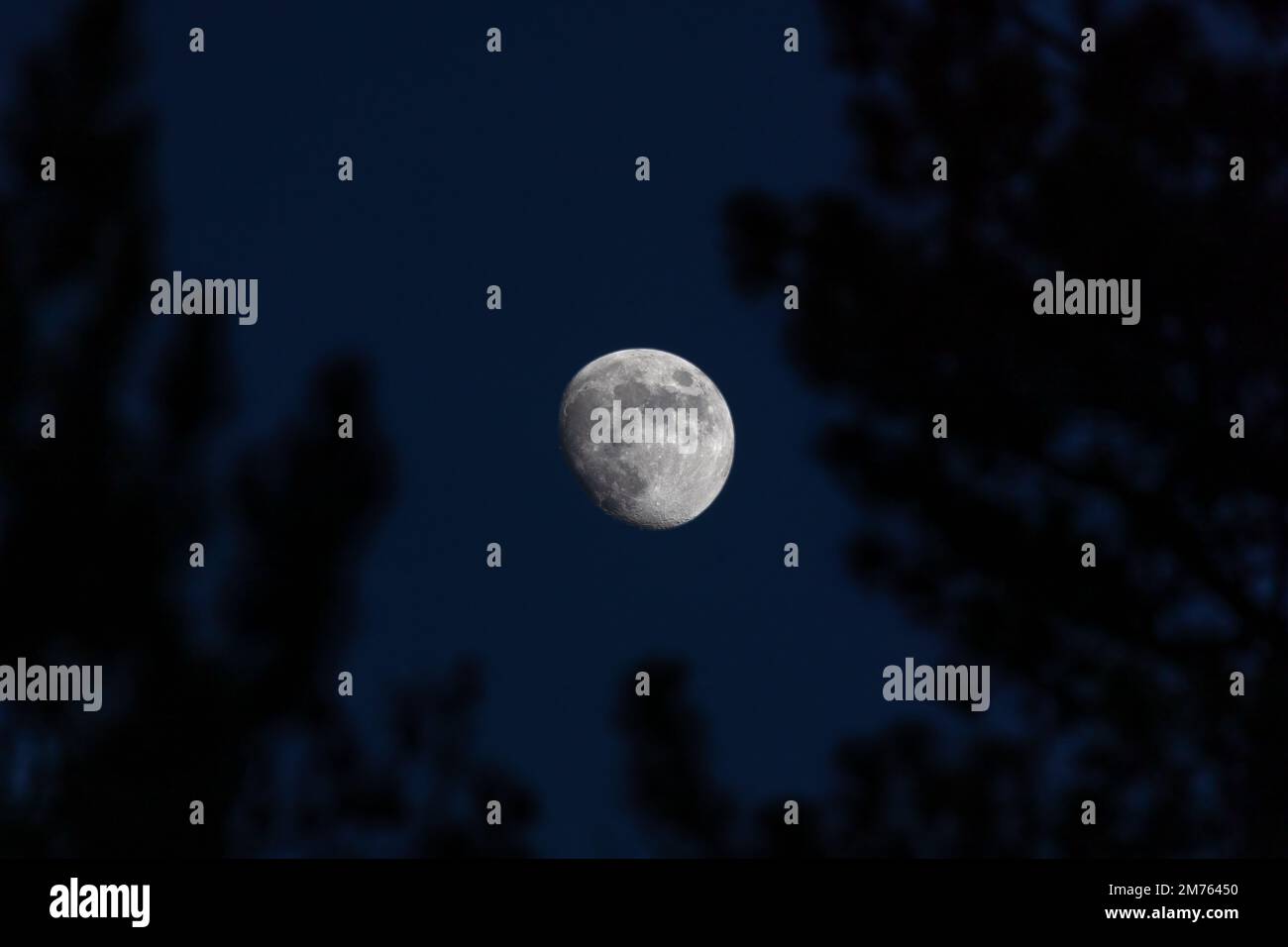 Closeup of the waxing moon - a few days before full moon - early ...
