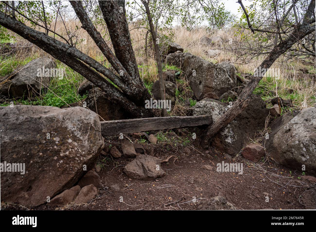Closeup of large rocks or boulders near the mountains. Large ...
