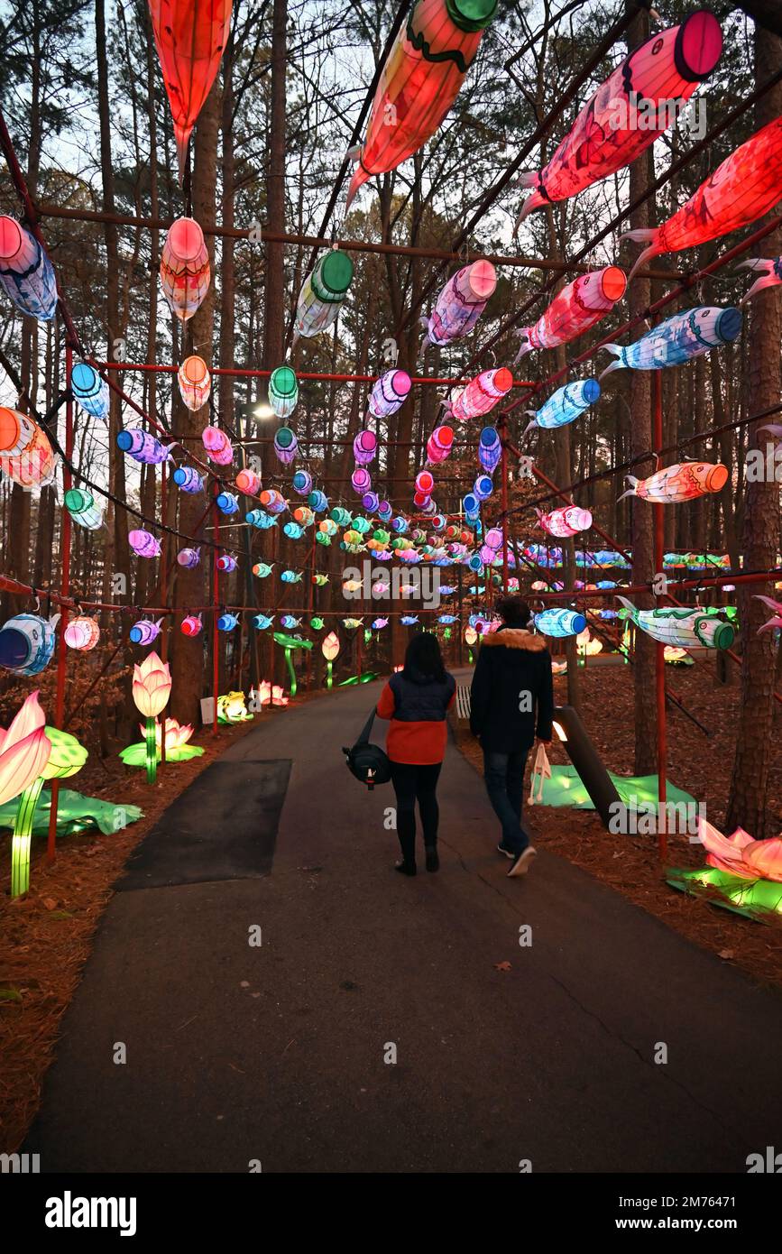 Visitors follow the corridor of glowing lanterns through the woods to ...