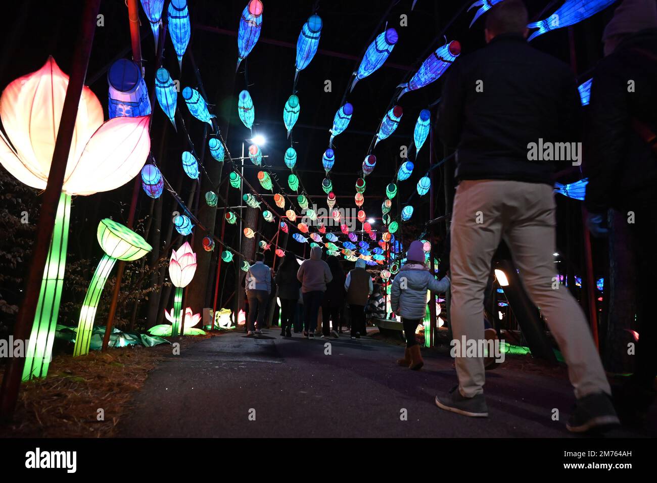 Visitors follow the corridor of glowing lanterns to the annual Chinese ...