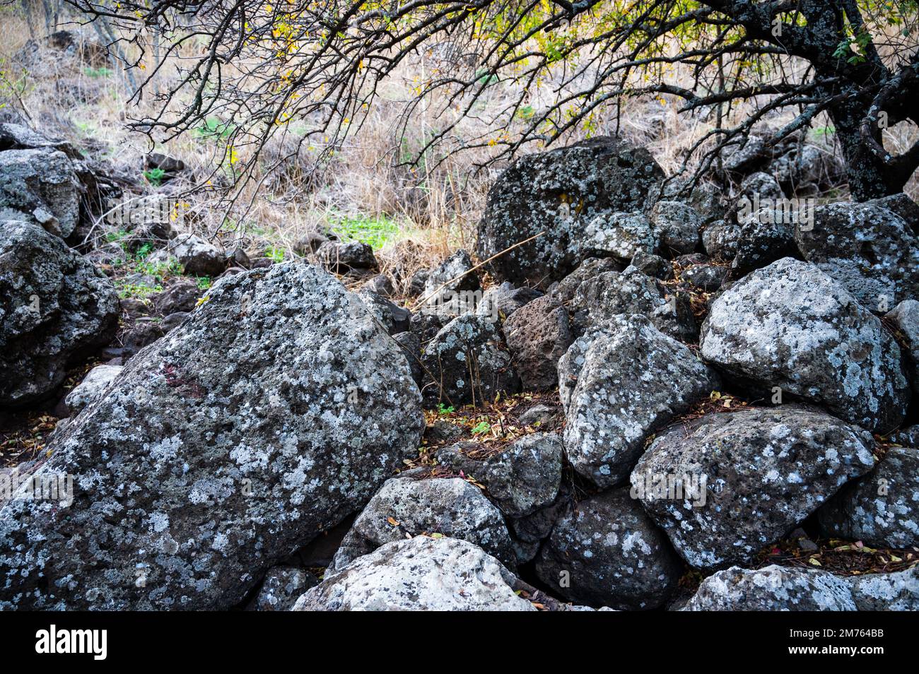 Closeup of large rocks or boulders near the mountains. Large ...