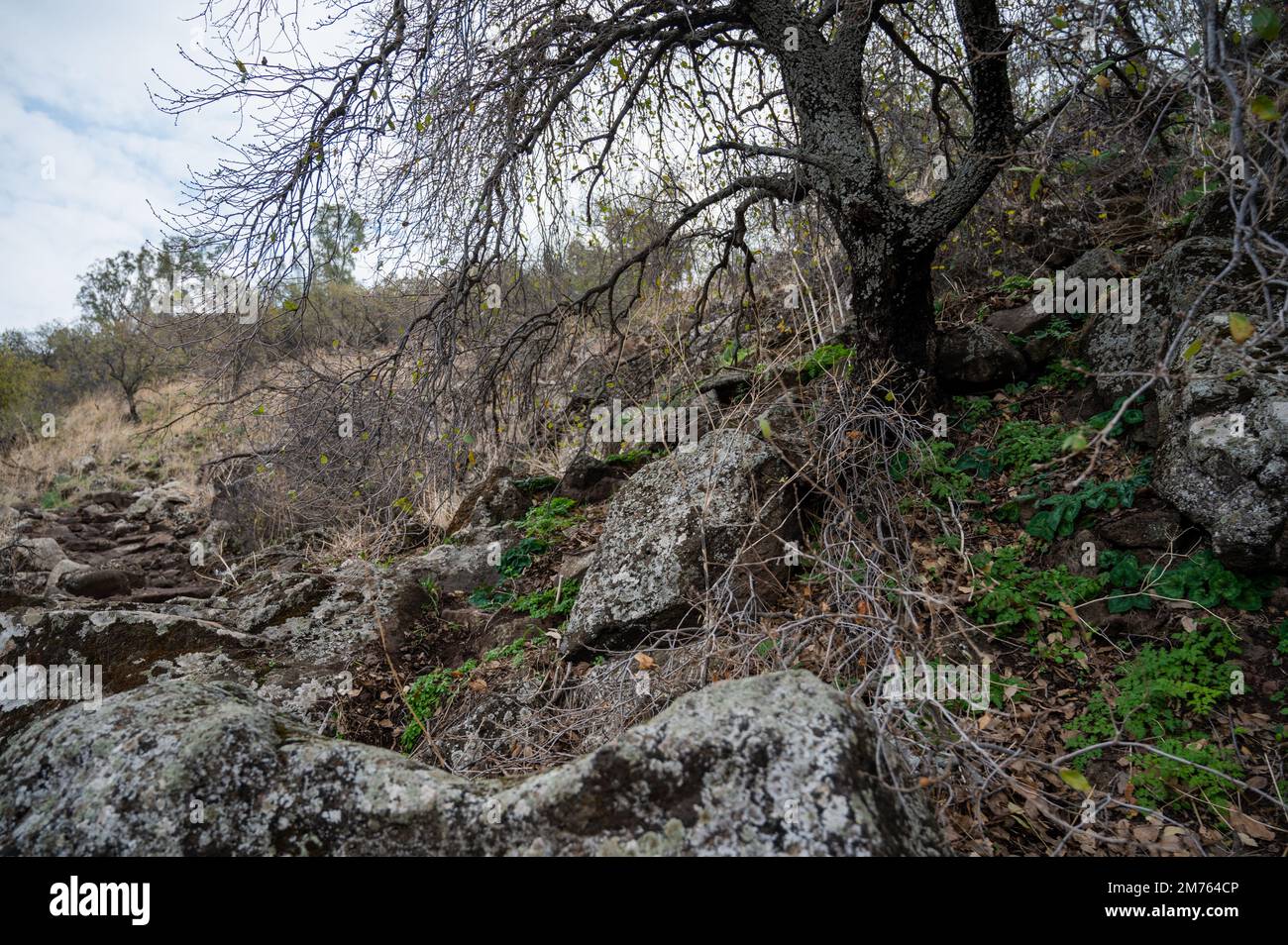 Closeup of large rocks or boulders near the mountains. Large ...