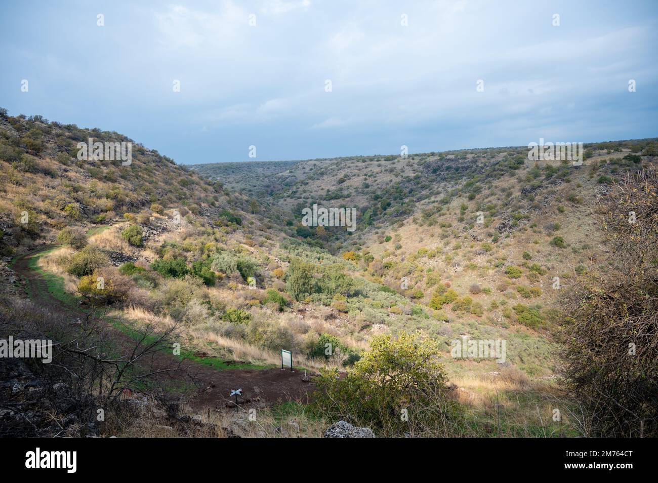 The Yehudiya Forest Reserve is a nature reserve in the central Golan ...