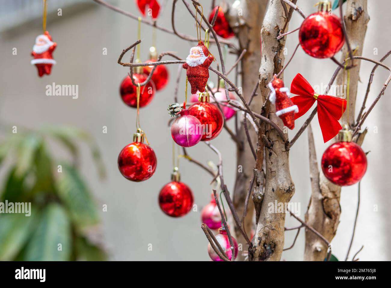 Christmas ornaments on an outdoor tree in Rio de Janeiro Stock Photo ...