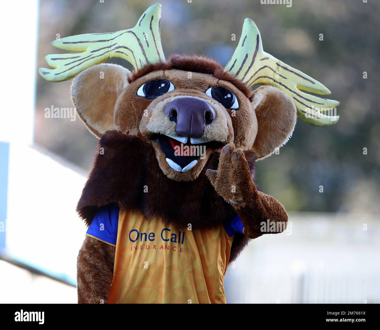 Mascot sammy the stag hi-res stock photography and images - Alamy