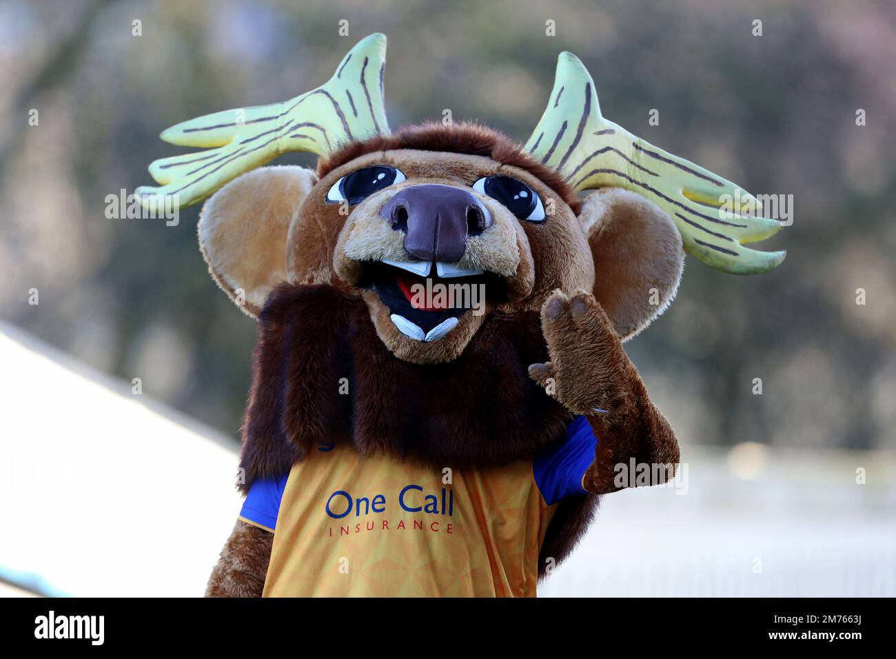 Mascot sammy the stag hi-res stock photography and images - Alamy