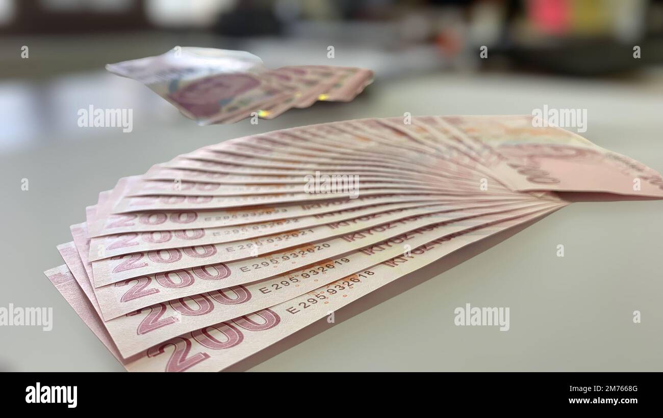 Turkish Lira, Turk Parasi, Turkish Money (Turkish Turk Parasini Sayan ...