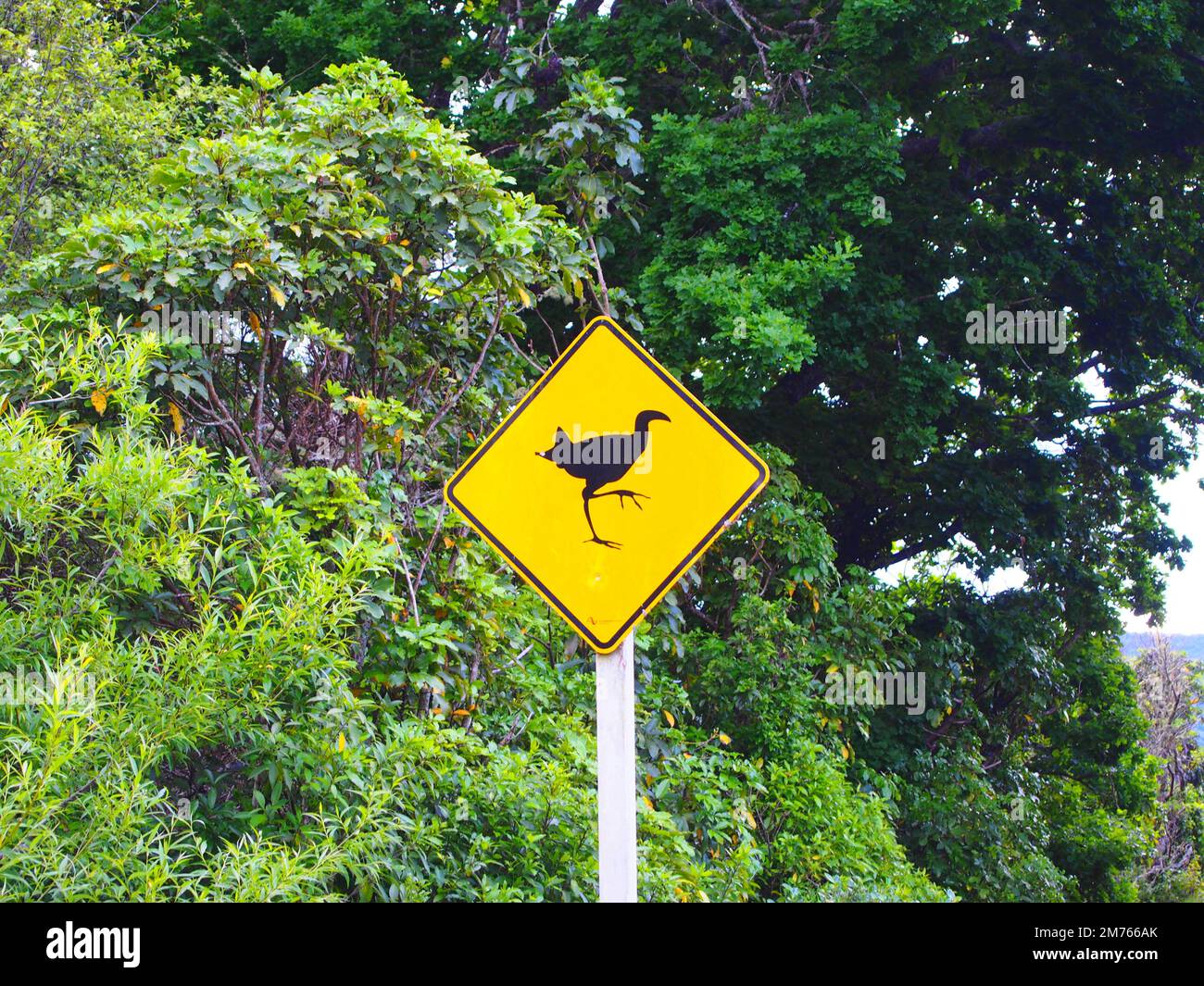Green new zealand road signage hi-res stock photography and images - Alamy