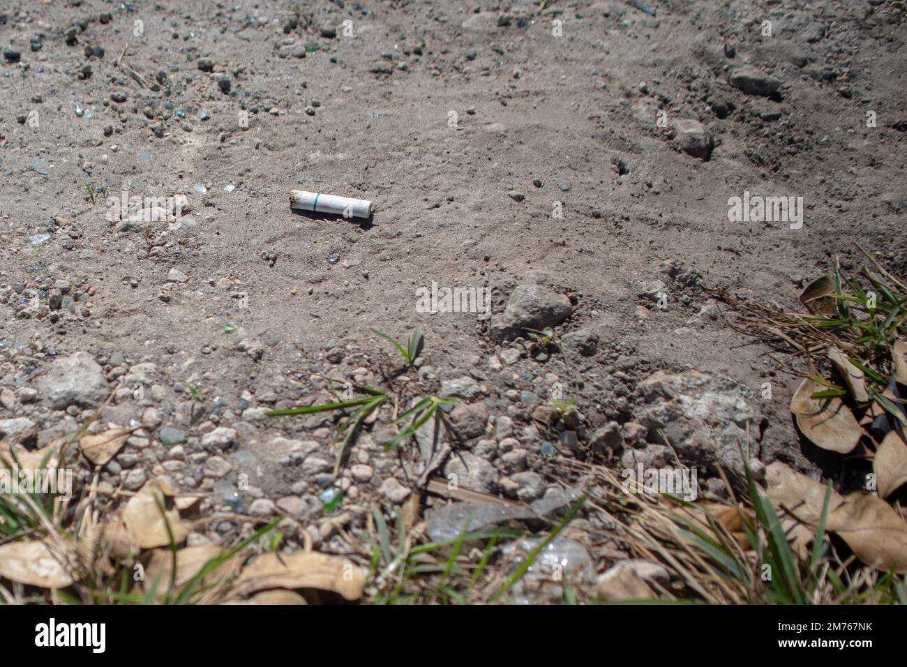 Photo of cigaret bud on a beach in florida Stock Photo - Alamy