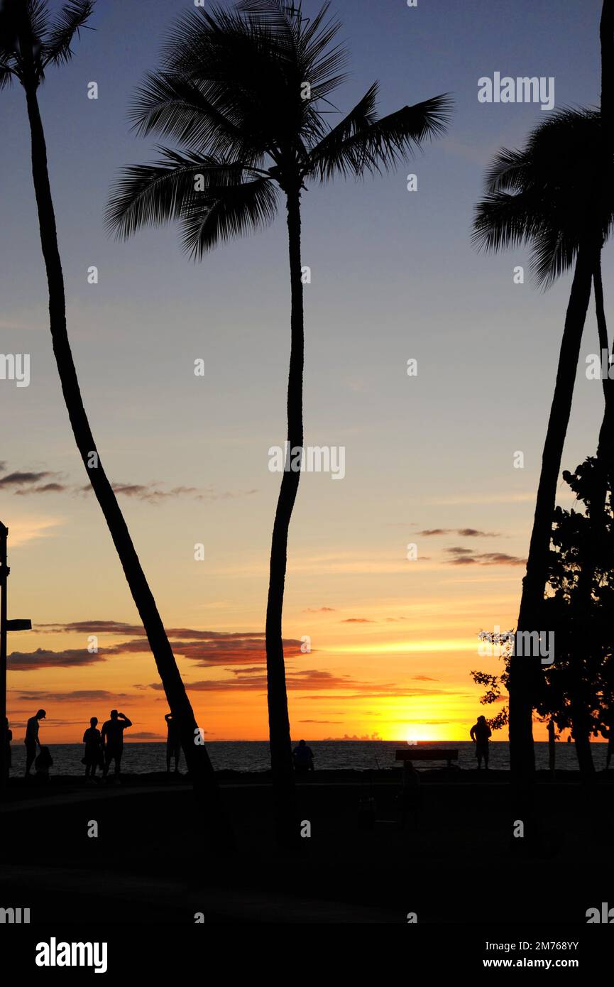 Picturesque tropical sunset palm trees hi-res stock photography and ...